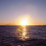 Pacific Star Sunset Buffet and Show - Final Thoughts