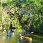 Paddle and Brew Adventure in Tavares with Beer Flight Tasting - Authentic Feedback Highlights