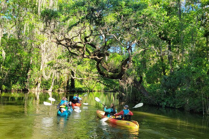 Paddle and Brew Adventure in Tavares with Beer Flight Tasting - Authentic Feedback Highlights