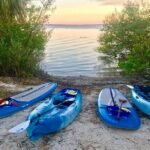 Paddle Board or Kayak Eco Dolphin Manatee Tour - Why This Tour Offers Great Value