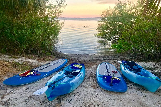 Paddle Board or Kayak Eco Dolphin Manatee Tour - Why This Tour Offers Great Value