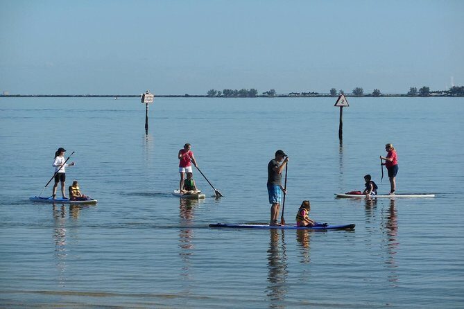 Paddle Board Rental around Harbour Island - A Closer Look at the Experience