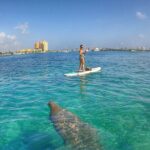Paddle Boarding Activity to Peanut Island - Exploring the Details of the Experience