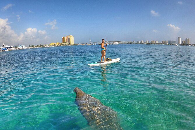Paddle Boarding Activity to Peanut Island - Exploring the Details of the Experience