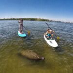 Paddle Boarding Eco Adventure Tour Jupiter Florida - Singer Island - Possible Considerations