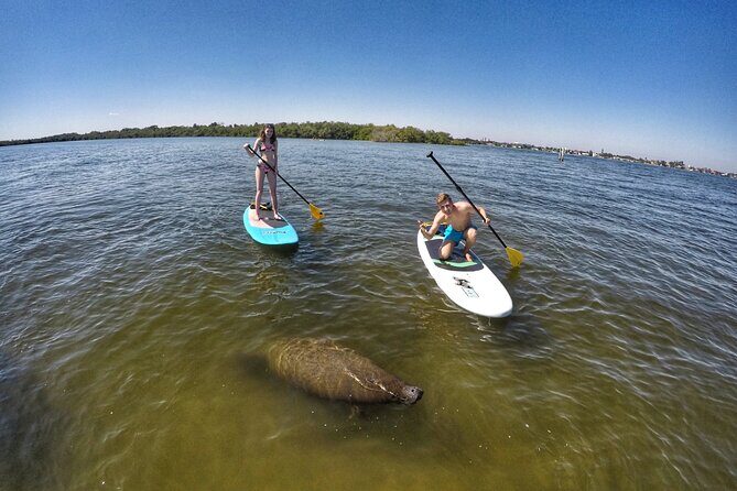 Paddle Boarding Eco Adventure Tour Jupiter Florida - Singer Island - Possible Considerations