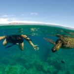Paddle, Snorkel and Learn to Surf: All in a Day on Maui - Breaking Down the Itinerary