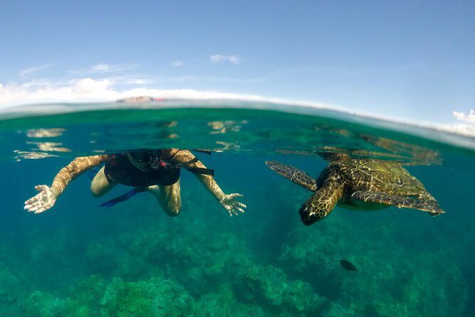 Paddle, Snorkel and Learn to Surf: All in a Day on Maui - Breaking Down the Itinerary