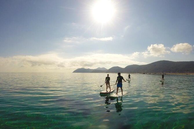 Paddle Surf in Cantabria - Authentic Ratings and Customer Feedback