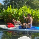 Paddle with Pups in Paradise - Paddleboard or Kayak - Who Would Enjoy This Tour?