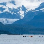 Paddle with Whales Kayak Adventure Juneau - What Travelers Are Saying