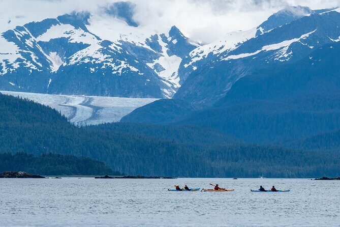 Paddle with Whales Kayak Adventure Juneau - What Travelers Are Saying