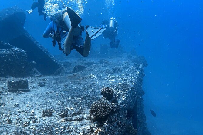 PADI Open Water Certification Course Shared Experience - Dive Into Hawaii’s Underwater Playground