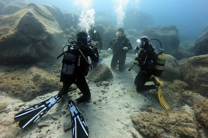 PADI Open Water Course in Costa Adeje - The Sum Up