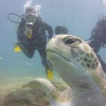 PADI Open Water Diver Course - FAQ