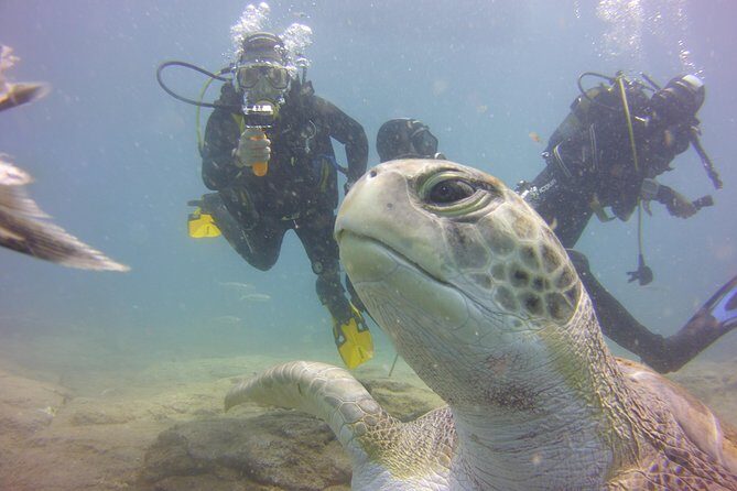 PADI Open Water Diver Course - FAQ