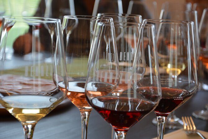 Pagus Wine Tours® - Sirmione by boat and Amarone - Full day tour - What We Loved and What to Consider