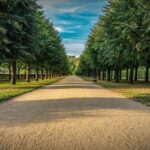 Palace of Queen Elisabeth Tour - The Itinerary and What Makes Each Part Special