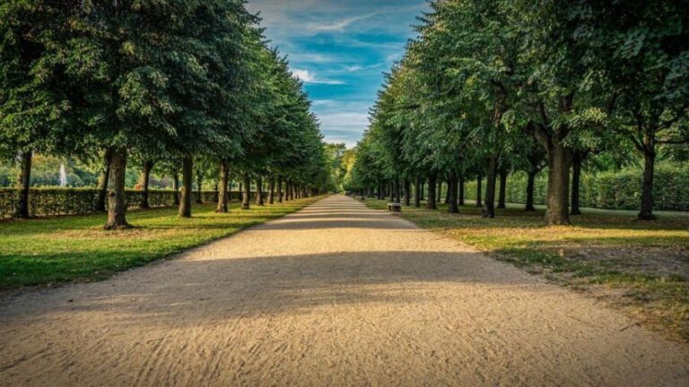 Palace of Queen Elisabeth Tour - The Itinerary and What Makes Each Part Special