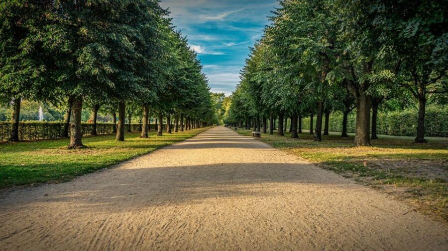 Palace of Queen Elisabeth Tour - The Itinerary and What Makes Each Part Special