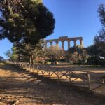 Palermo to Siracusa: stop at Valley of Temples & Roman Villa - The Transport and Logistics