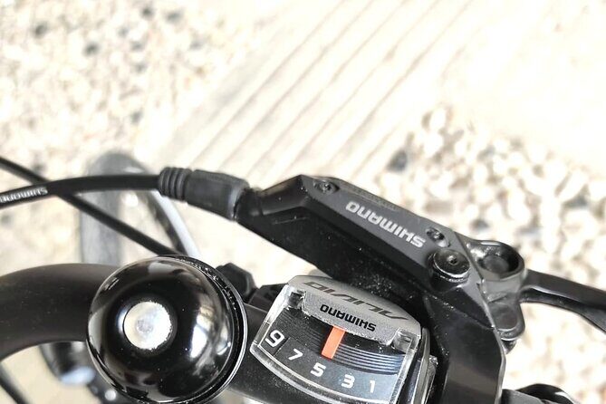 Palladian E-Bike Rental in & around Vicenza - The Experience: What to Expect