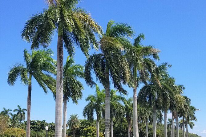 Palm Beach Tour from Miami - Flagler's Museum + Hotel Breakers - Travel Time and Comfort