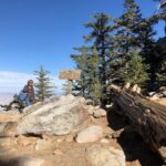 Palm Springs Aerial Tramway Admission Ticket - Authentic Traveler Insights