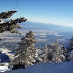 Palm Springs: Aerial Tramway Round-Trip Ticket - What Visitors Love and Consider