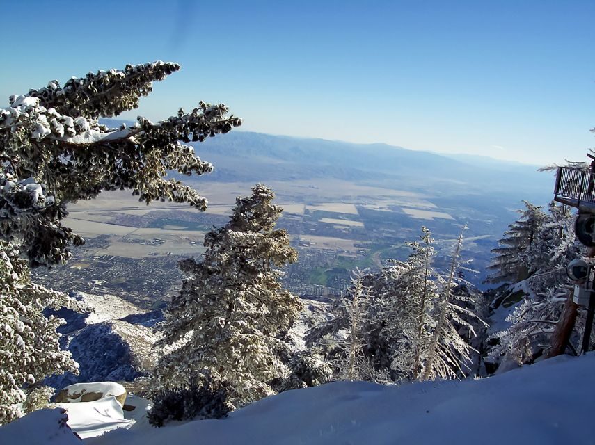 Palm Springs: Aerial Tramway Round-Trip Ticket - What Visitors Love and Consider