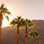 Palm Springs and Joshua Tree Self-Guided Driving Audio Tours - A Deep Dive into the Tour Experience