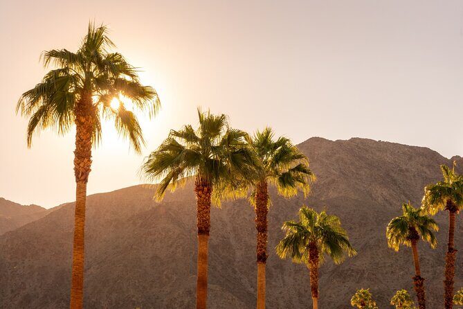 Palm Springs and Joshua Tree Self-Guided Driving Audio Tours - A Deep Dive into the Tour Experience