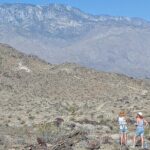 Palm Springs Hike to an Oasis and Amazing Desert Views - A Deep Dive into the Experience