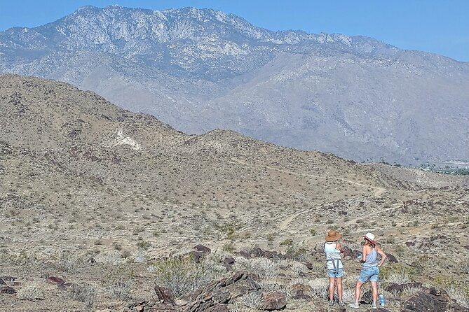 Palm Springs Hike to an Oasis and Amazing Desert Views - A Deep Dive into the Experience