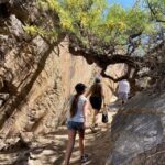 Palm Springs: Indian Canyons Jeep/Hiking Combo Tour - What Makes This Tour Stand Out?