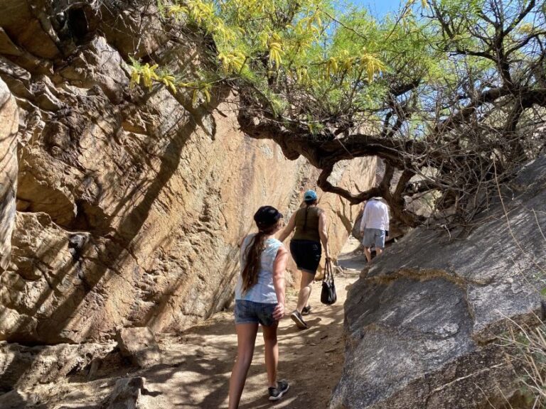 Palm Springs: Indian Canyons Jeep/Hiking Combo Tour - What Makes This Tour Stand Out?