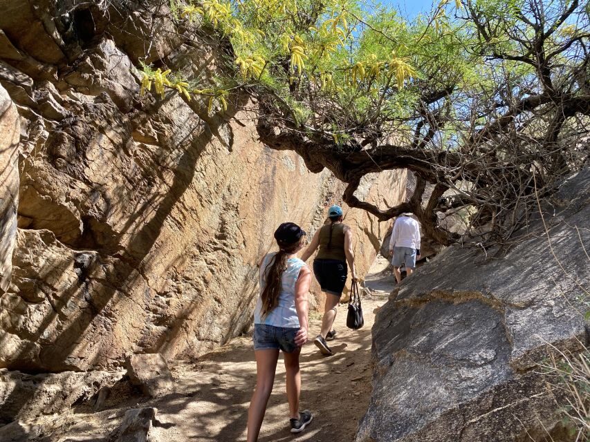 Palm Springs: Indian Canyons Jeep/Hiking Combo Tour - What Makes This Tour Stand Out?