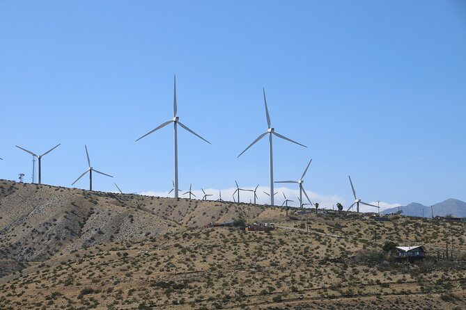 Palm Springs Windmill Tours - Practical Details: What to Expect