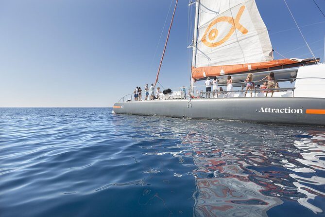 Palma Bay Catamaran Half-Day Cruise - The Journey: What to Expect from the Palma Bay Catamaran Cruise