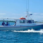 Panama City Beach: Private Sunset Cruise - What to Expect During the Tour