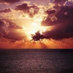 Panama City Beach's - Dolphin Sunset Cruise - Reviews and Authentic Insights