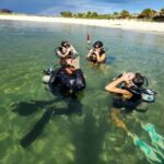 Panama City Scuba Diving Activity for Beginners - The Guides and Their Impact