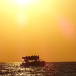 Panama City: Sunset Dolphin Cruise in St. Andrews Bay - Who Will Love This Tour?