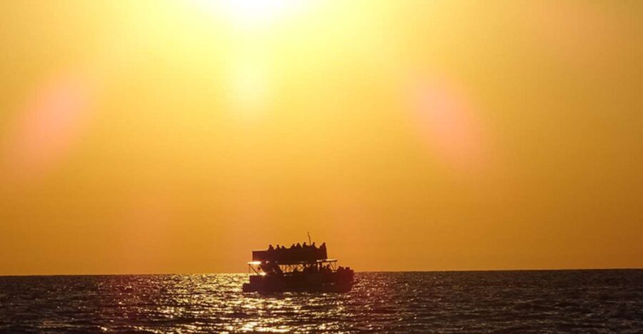 Panama City: Sunset Dolphin Cruise in St. Andrews Bay - Who Will Love This Tour?