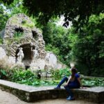 Panorama Dubrovnik & Arboretum Trsteno PRIVATE TOUR - What to Expect and How It’s Valued