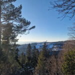Panoramic Peaks  Oslos Best Fjord Views Hike - The Summit: A View Worth the Climb