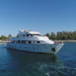 Paphos: Adults Only Cruise with Drinks, Food, Bus, Swim Stop - Key Points