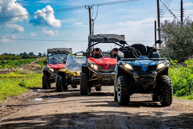 Paphos: Beach and Mountain Buggy Safari - Who Is This Tour Best For?