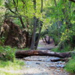 Paphos: Beauty, Nature and Charm of Troodos Mountains - How the Experience Comes Together