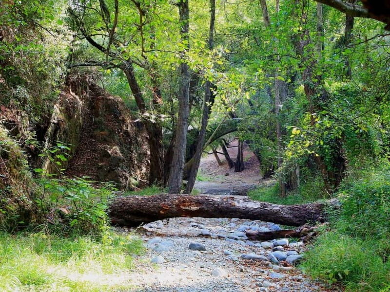 Paphos: Beauty, Nature and Charm of Troodos Mountains - How the Experience Comes Together